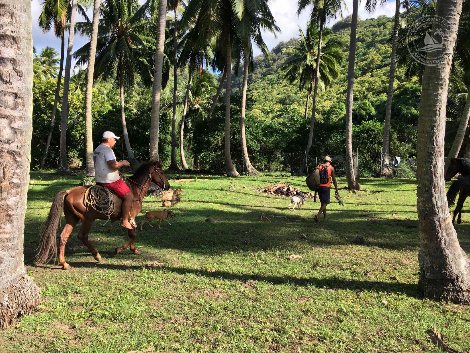 Polynesian work ethic, and a big hike to Hanatekua | Green Coconut Run