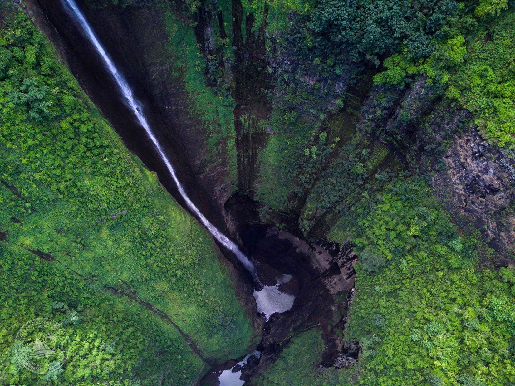 Vaipo Waterfall, Highest in French Polynesia | Green Coconut Run