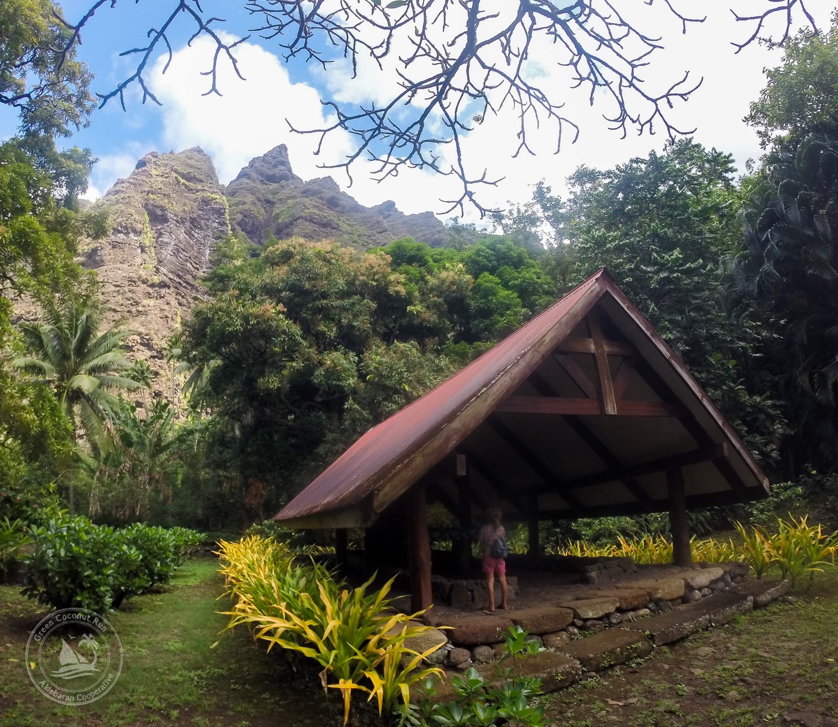 Vaipo Waterfall, Highest in French Polynesia | Green Coconut Run