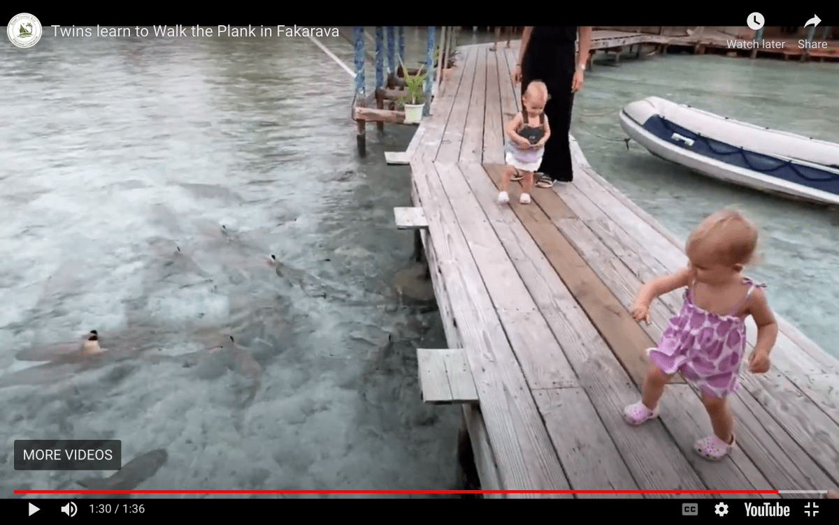 “We are walking!” | Green Coconut Run